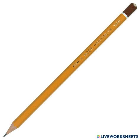 Latvian Live Worksheets