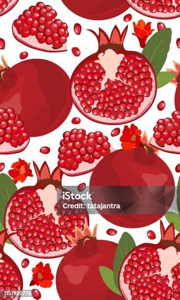 완벽 한 패턴 석류 과일과 흰색 바탕에 씨앗 신선한 유기농 식품 레드 루비 과일 패턴입니다 벡터 일러스트입니다 0명에 대한 스톡 벡터 아트 및 기타 이미지 Istock