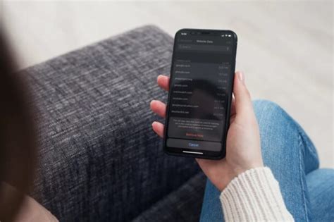 how to clear cookies only from safari on iphone and ipad