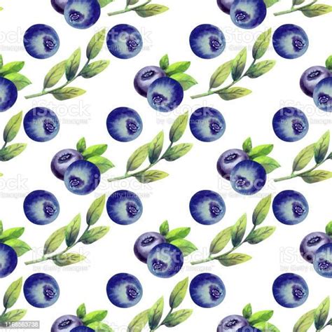 흰색 고립 된 배경에 잘 익은 블루 베리와 원활한 패턴 수채화 일러스트레이션입니다 0명에 대한 스톡 벡터 아트 및 기타 이미지