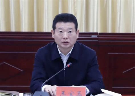 市委原书记降为一级主任科员 王宝玉 违规 林州