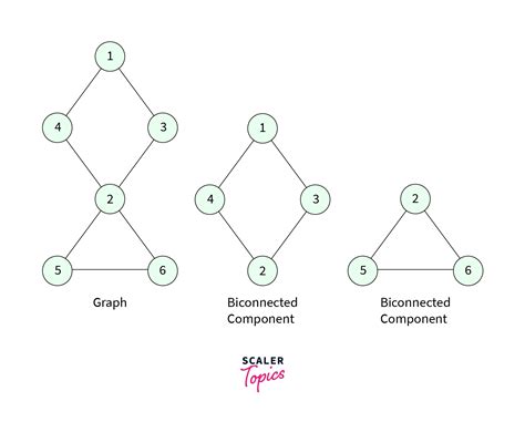 Biconnected Components Scaler Blog