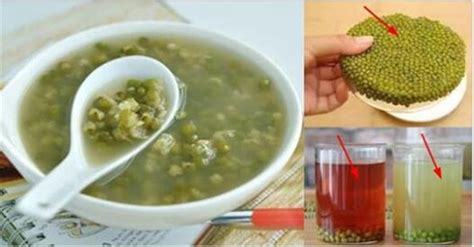綠豆湯有清熱解毒止渴消暑的功效一直是傳統的解暑佳品三伏天炎熱在家煮好綠豆湯後冰在冰箱裡熱了渴了喝上一口別說有多涼爽啦但是很多人煮