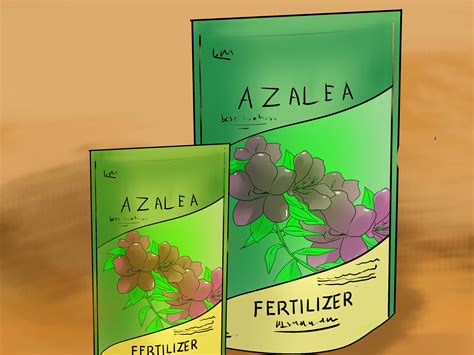 How To Prune Azaleas 8 Steps With Pictures WikiHow