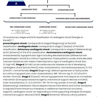 Diagnostic Clinical Algorithm In Cardiogenic Shock Download Scientific Diagram