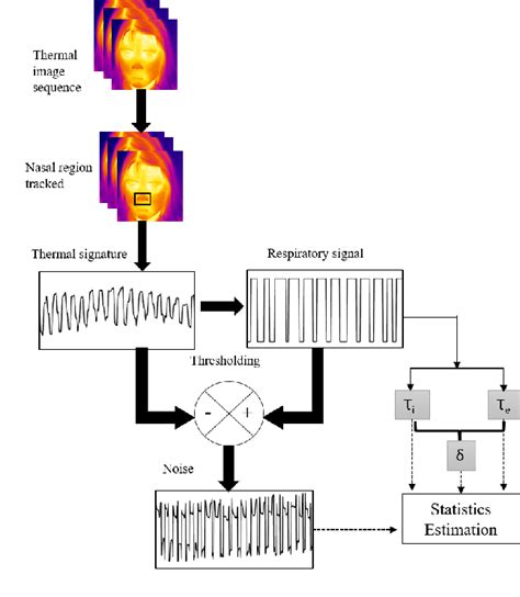 Figure 1 From A Pulse Width Modulation Model Of Respiratory Signatures