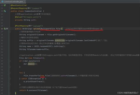Springboot中后端，文件的上传与下载后端实现文件的上传与下载 Csdn博客