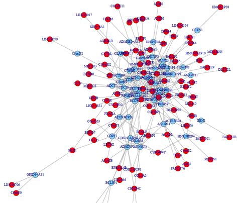 Github Taymourniazi Identifiyng Genes That Cause Autism Discovering Genes That Cause Autism