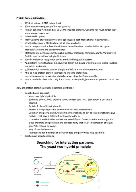 Proteinprotein Interactions Protein Protein Interactions 1953