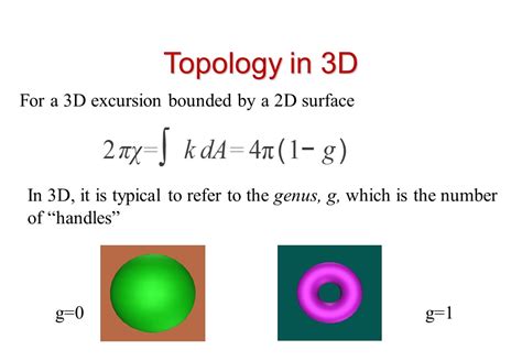 Euler Poincaré In The Dark