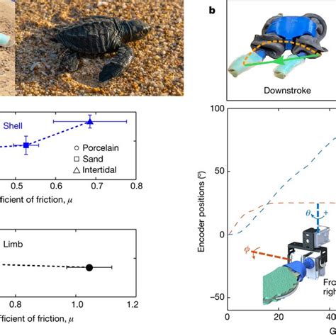Transition Policy And Cot Contextualization Ac Composite Images With