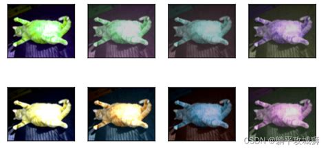 提高图像处理模型性能:数据增广技术与torchvision应用 Csdn博客 提高图像处理模型性能:数据增广技术与torchvision应用 Csdn博客