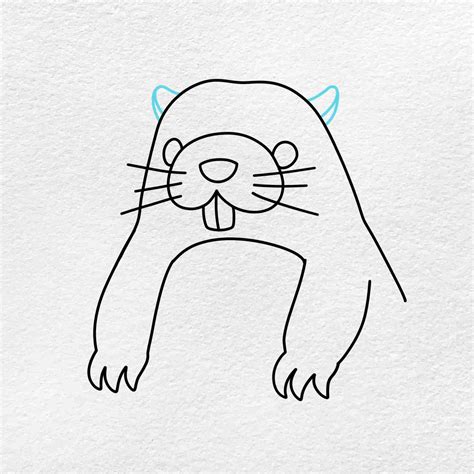 How To Draw A Gopher Helloartsy
