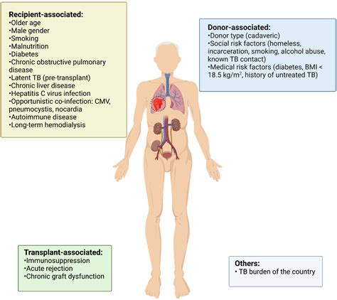Tuberculosis Risk Factors