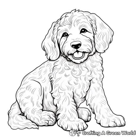 Cockapoo Coloring Pages Free And Printable
