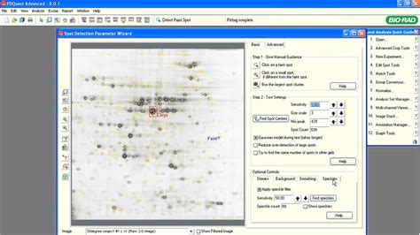 Pdquest™ Software Tutorials — Optimize Spot Detection Youtube