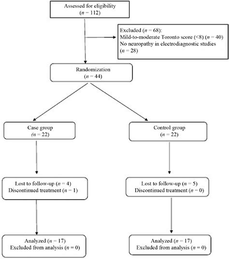 Randomization Chart Download Scientific Diagram