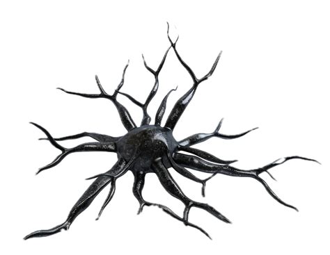 Microscopic View Of Human Neuron Cell 46334666 Png