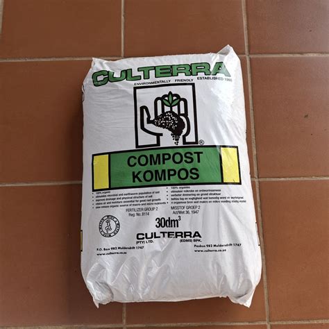 Harpephyllum Caffrum Wild Plum Windy Willows