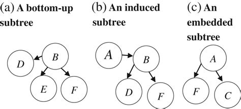 Different Types Of Subtrees Of The Tree Of Figure 3d A A Bottom‐up