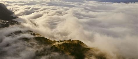 Go语言中json序列化的一个小坑，建议多留意一下 左诗右码 Segmentfault 思否