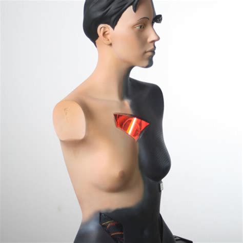 Cyber Woman Techpowerup Case Modding Gallery