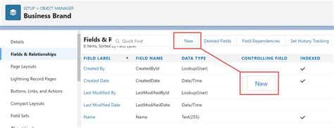 Salesforce Geolocation Field