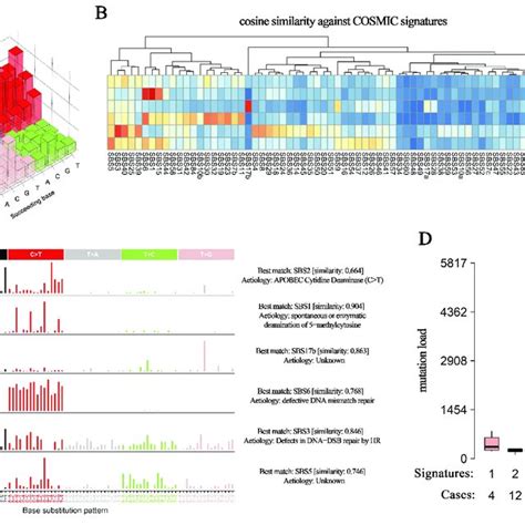 Base Substitution Patterns And Mutation Signatures A A Total Of 96