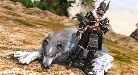 Raider | Eorzea Collection