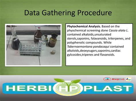 Hp Presentation PPTX