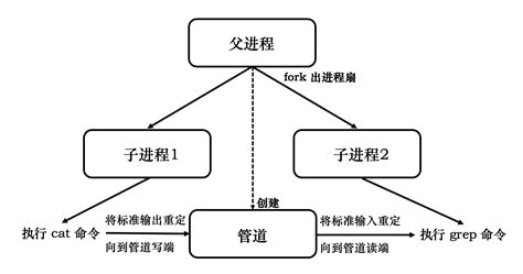 Linux 系统编程进程间通信 Riccardo s Blog