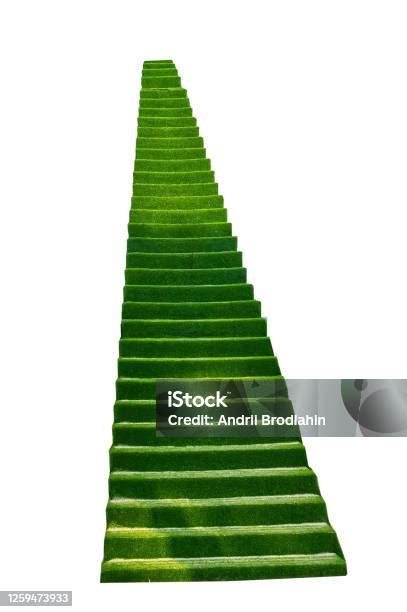 베트남 푸쿠크의 환경 재해 속에서 하늘 풍경 해변의 포토존까지 녹색 계단 바이사오 해변의 쓰레기 덤프와 해안선에 하얀 모래 열대 바다의 해변에 오염 흰색 배경에 격리 0명에