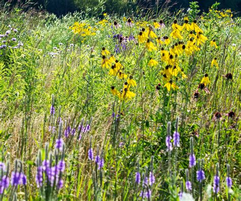 3 Key Gardening Industry Trends To Embrace For 2024 Homes And Gardens