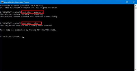 How To Clear The Softwaredistribution Folder On Windows 10 And Make
