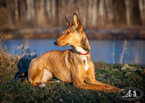 На что стоит потратить время Биоэкспериментаниум Интерактивное зеркало распознает эмоции по