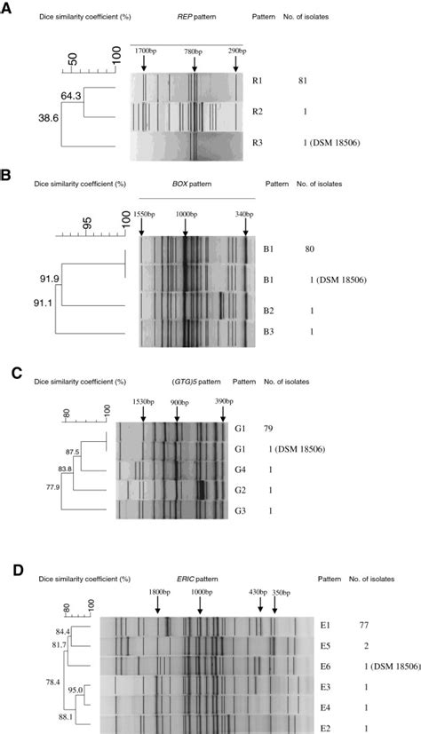 A Dendrogram Of Y Ruckeri Isolates Constructed Using The Upgma