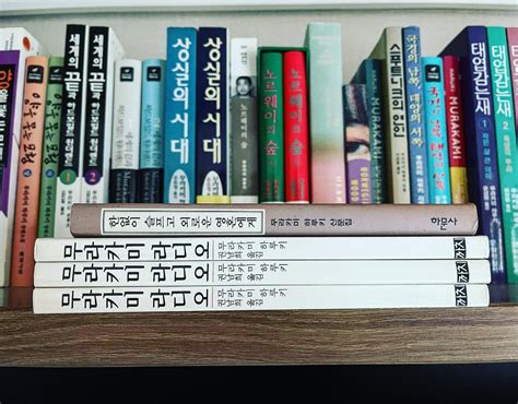 Jeongyeon 전에 하루키 책 중에 가장 먼저 읽은 책에 대해 쓴 적이 있다 ‘한없이 슬프고 외로운 영혼에게 란 책인데 고등학교 시절에 서점에서 서서 다 읽은 것