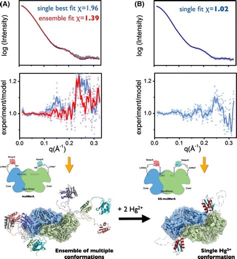 Solution Structure Modeling Of Intramolecular Hg2 Transfer Between Download Scientific Diagram