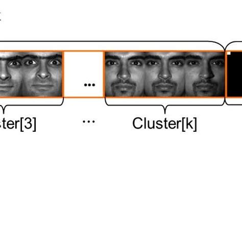 Structured Sparse Representation Aided With The Cluster Occlusion Download Scientific Diagram