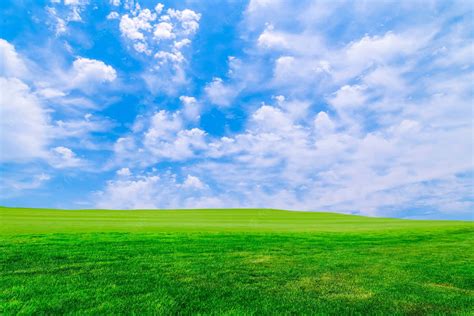 [100 ] Grass And Sky Backgrounds