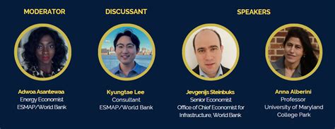 esmap webinar series insights from the multi tier framework energy surveys 3 how valuable