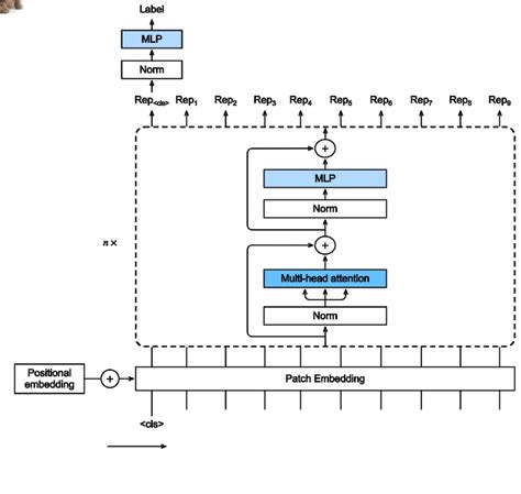 Transformers For Vision Dive Into Deep Learning Documentation