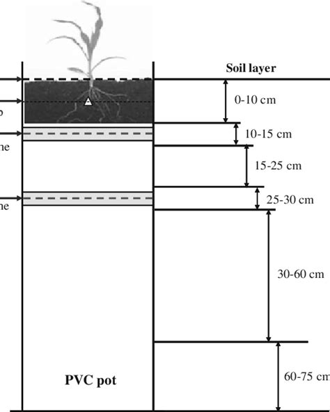 A Schematic Diagram Of The Pot Experiment Download Scientific Diagram