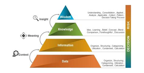 Information Structure