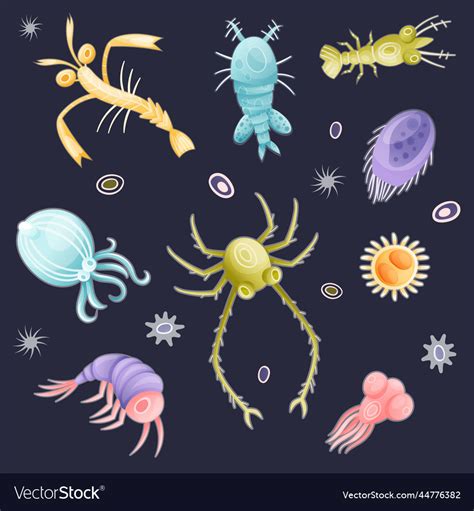 Plankton Diverse Water Organism Free Floating Vector Image