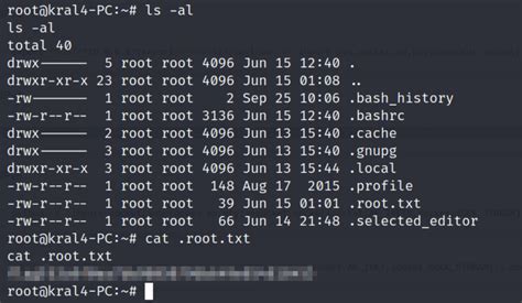 tryhackme easy peasy ctf writeup detailed by hassan sheikh infosec write ups