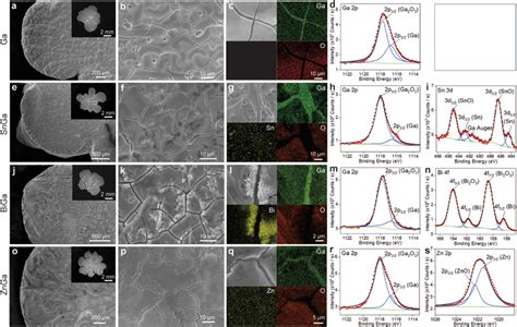 A S Surface Morphology And Composition Analyses Of Solidified Fractals Download Scientific