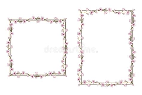 Set Of 2 Floral Frames Pink Sakura Flowers Isolated Borders With Square And Rectangular