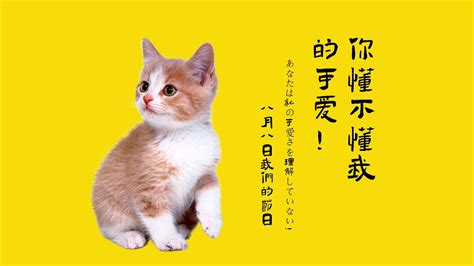 PPT创意玩法在PPT里养一只猫 YouTube