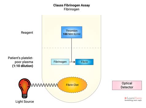 Clauss Fibrinogen Assay Learnhaem Haematology Made Simple